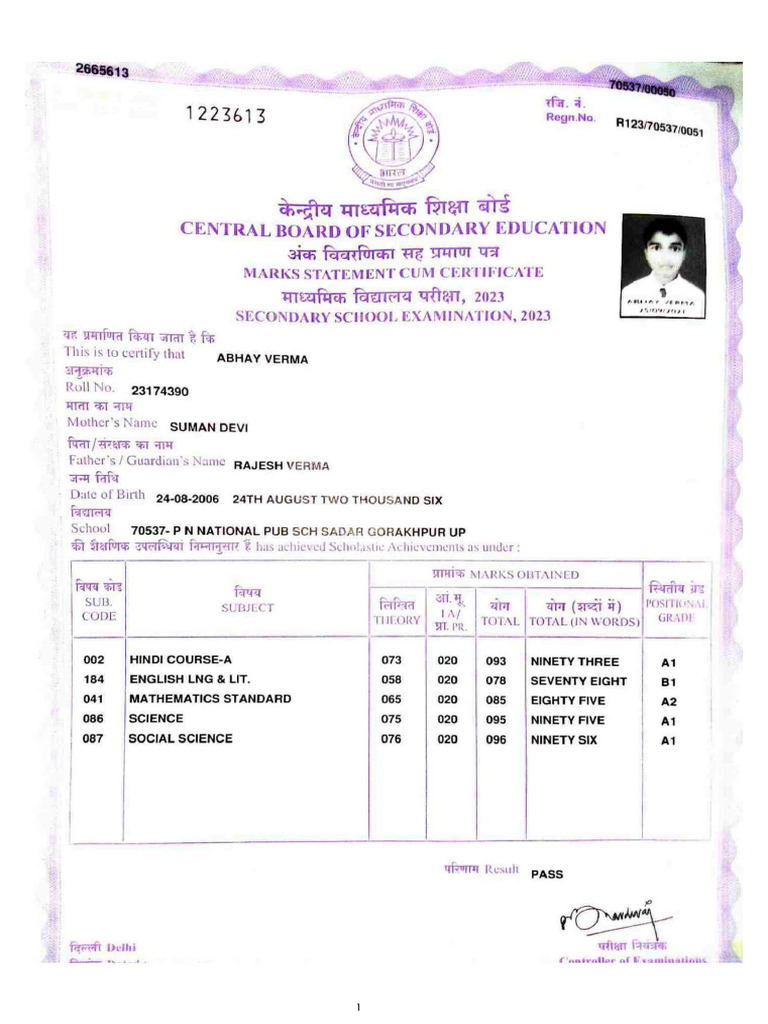 Class X Certificate | PDF