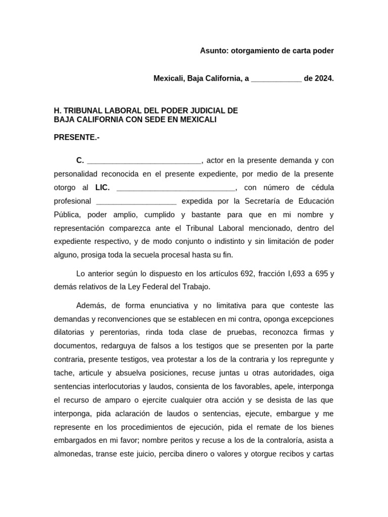 Formato Carta Poder Tribunal Laboral | PDF | Gobierno | Separación de ...