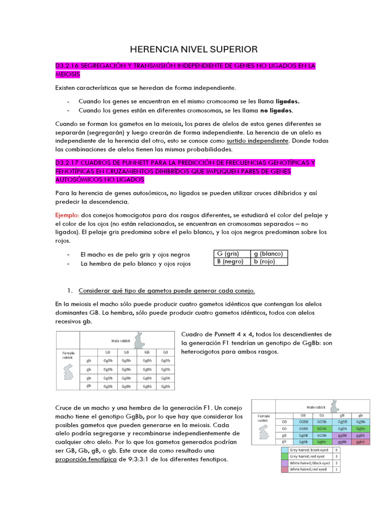 Herencia Nivel Superior | PDF | Alelo | Cigosidad