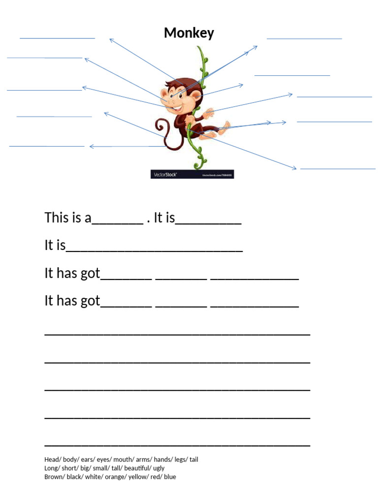 Grade 2 - Describe The Monkey | PDF