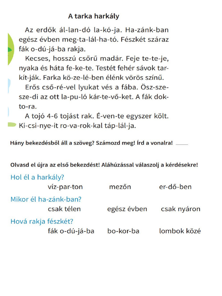 A Harkály | PDF
