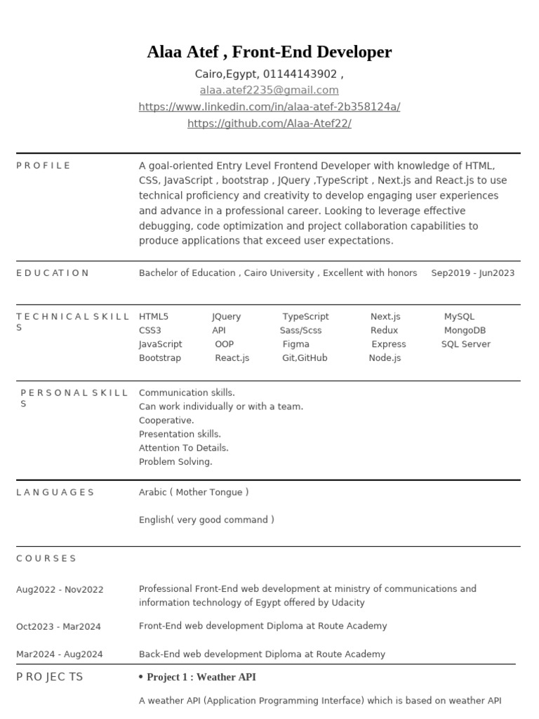 Entry Level Front-End Developer Profile | PDF | Technology & Engineering