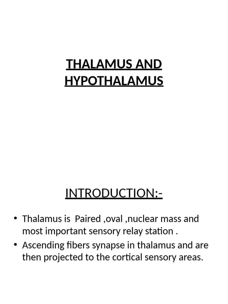 Thalamus And Hypothalamus Overview Pdf Science And Mathematics