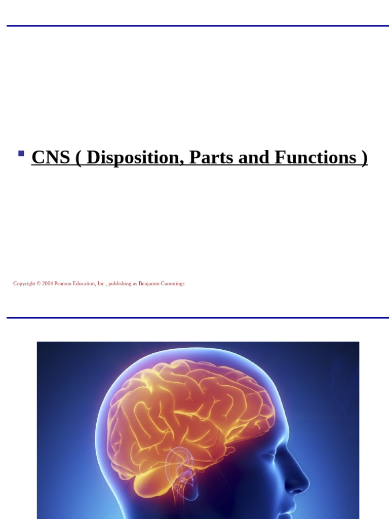 CNS LECTURE 1 (1) | PDF | Central Nervous System | Cerebrospinal Fluid