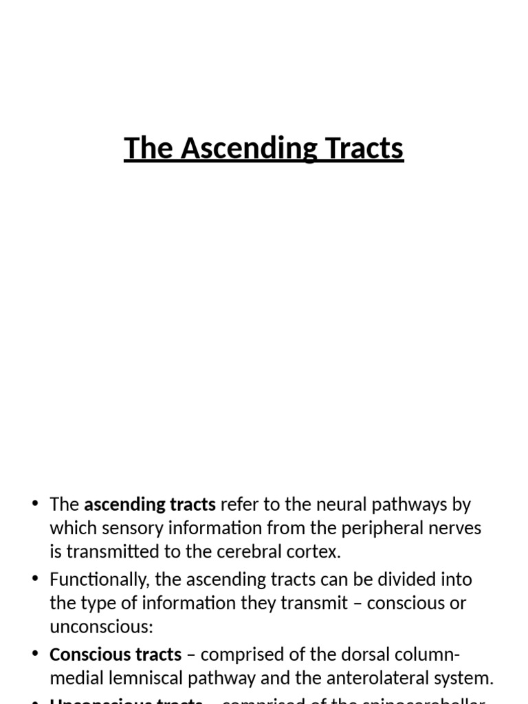 The Ascending Tracts | PDF | Neuroscience | Neuroanatomy