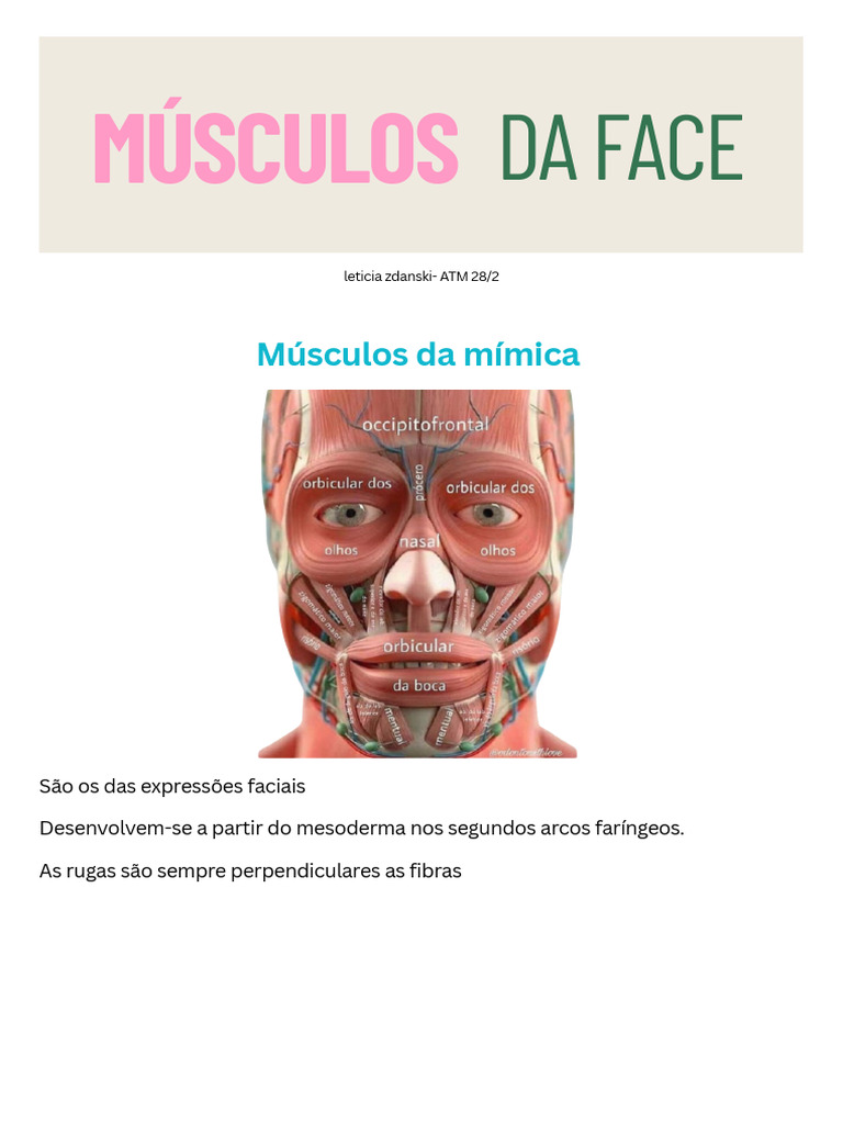 Músculos da Face e Suas Funções | PDF | Cabeça e pescoço humano ...
