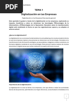 Temas de HySat Medallia | PDF