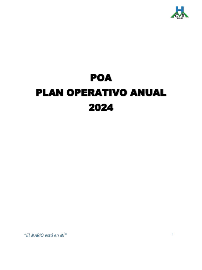 Poa 2024 | PDF | Hospital | Planificación