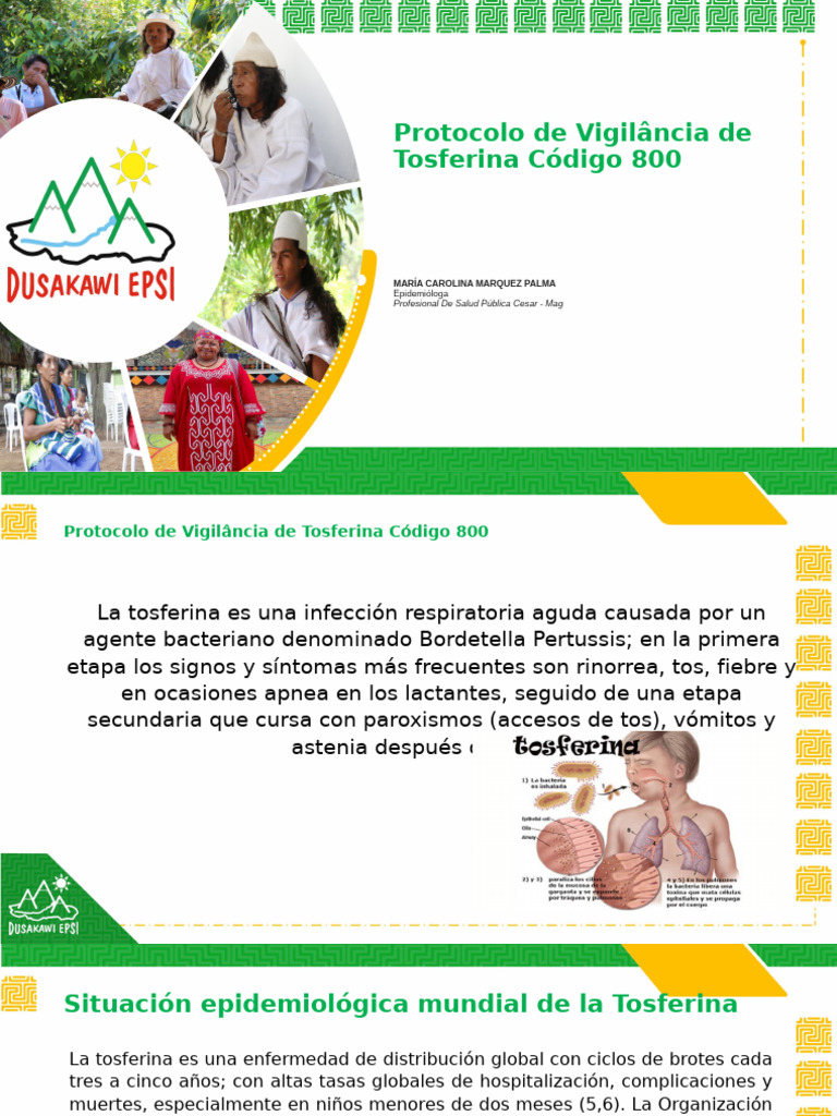 Tos Ferina | PDF | Enfermedades animales | Enfermedades y trastornos