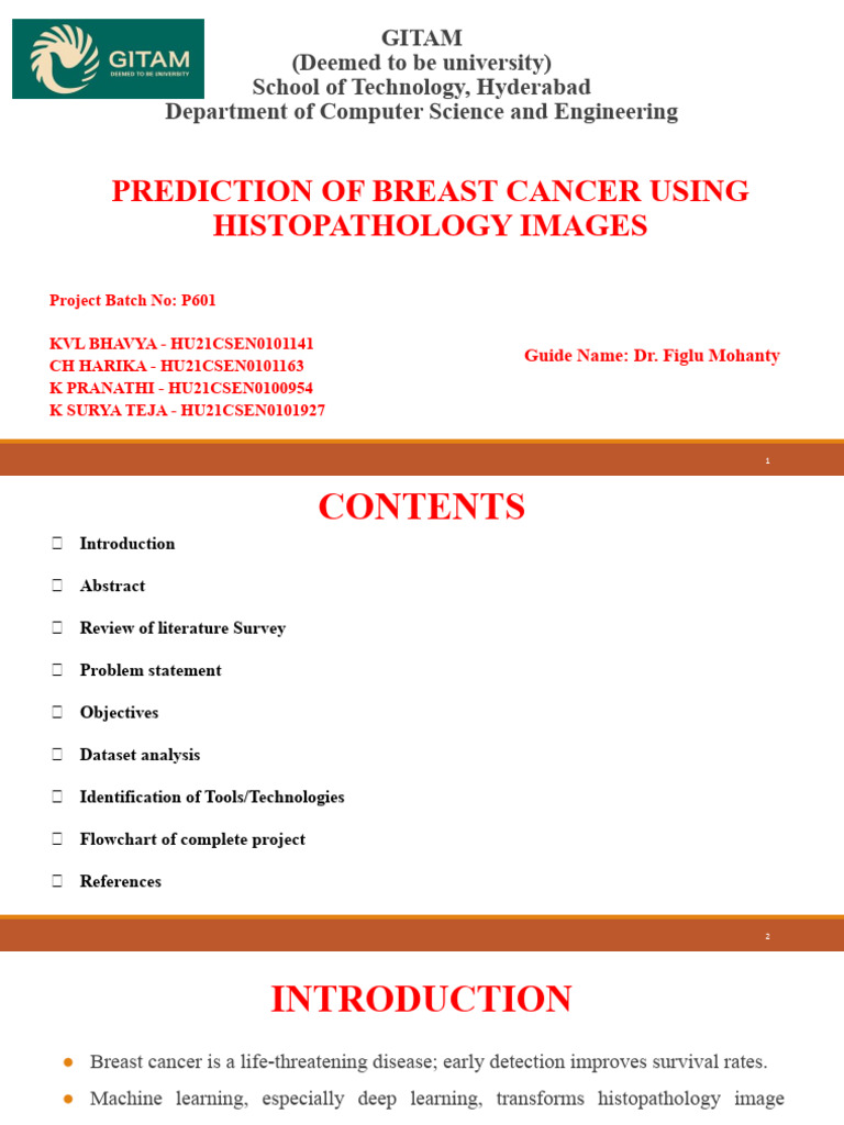 CAPSTONE REVIEW 2 | PDF | Statistical Classification | Deep Learning
