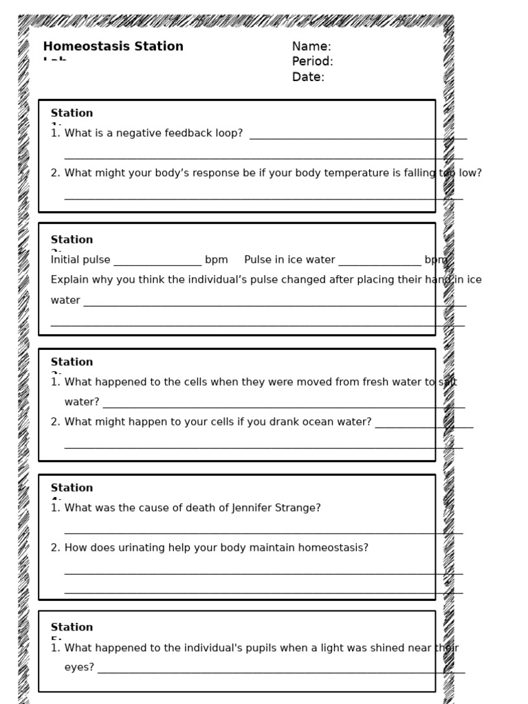 Homeostasis Lab Stations Guide | PDF | Blood | Blood Cell