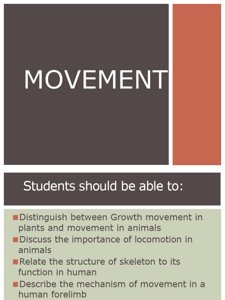 movement | PDF | Vertebra | Vertebral Column