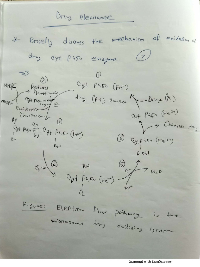 Drug Clearance | PDF