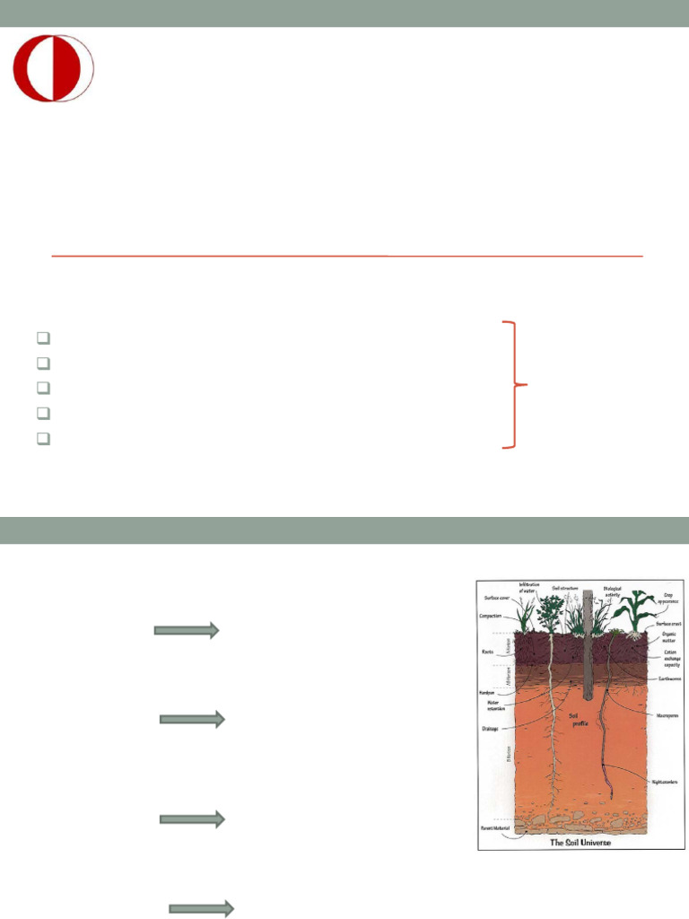 Chapter 2 Basic Properties of Soil 2020 | PDF | Soil | Soil Mechanics