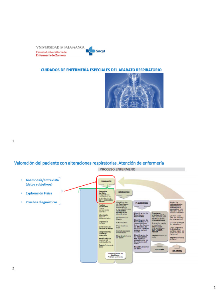 Cuidados Aparato Respiratorio - 1 | PDF | Tos | Ct Scan