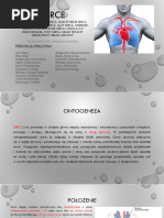 A. Przystańska - Anatomia - Jama Nosowa I Zatoki Przynosowe | PDF