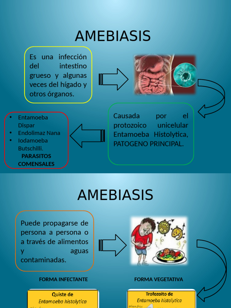 AMEBIASIS | PDF | Epidemiología | Microbiología