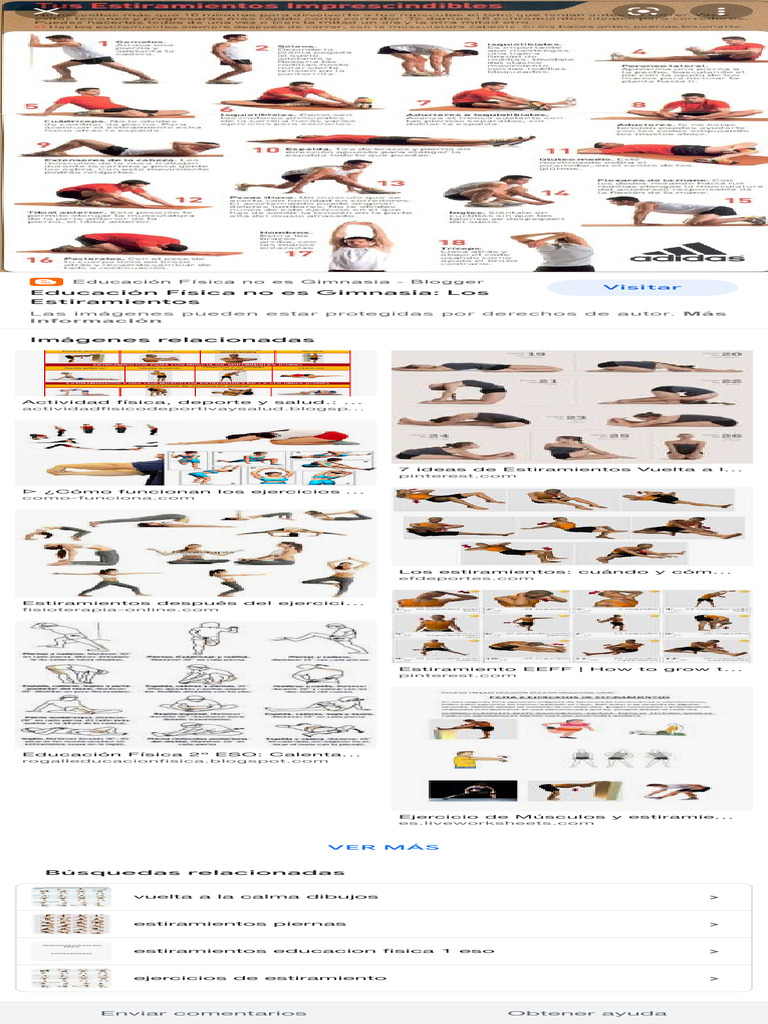 Estiramientos Vuelta A La Calma - Búsqueda de Google | PDF