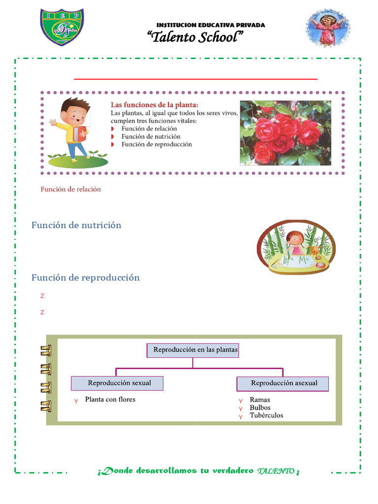 La Funcion de Las Plantas 3ero | PDF | Plantas | Reproducción