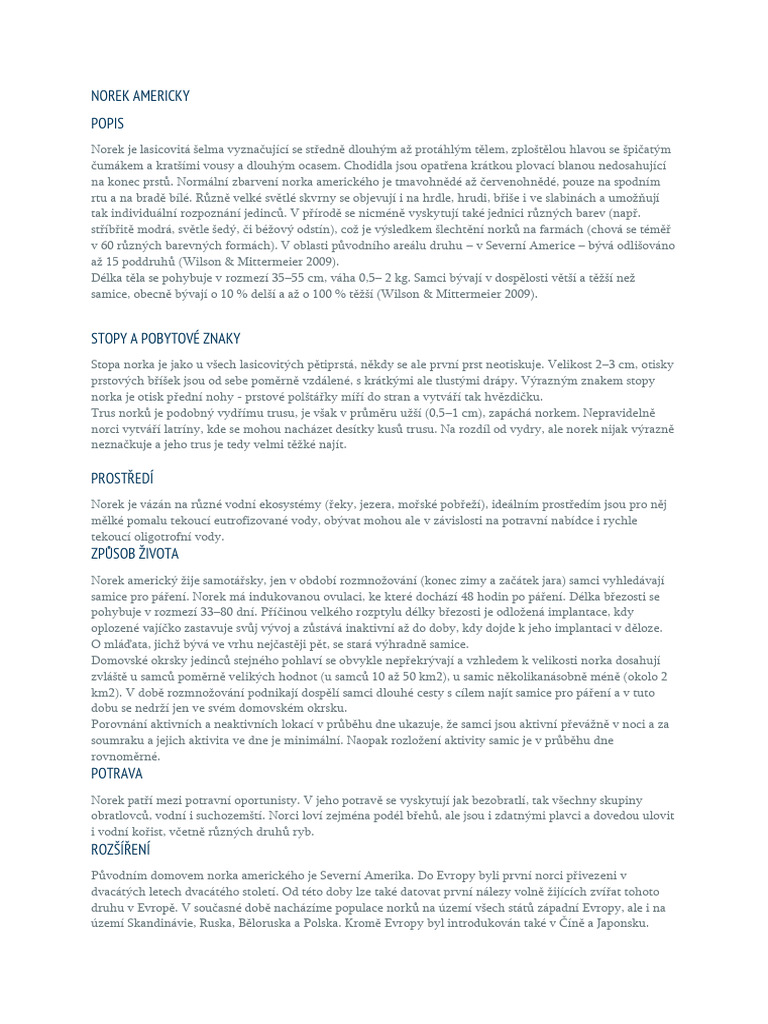 Norek Americky | PDF