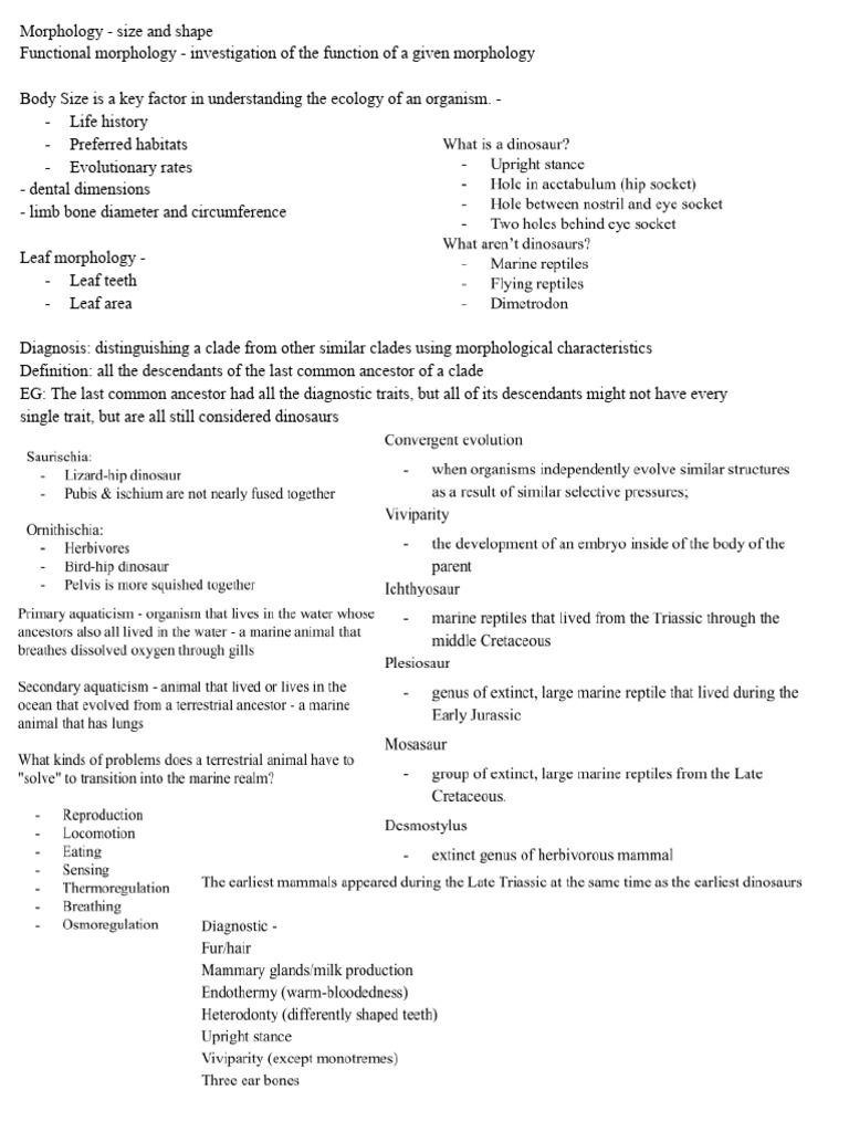 ERTH 103 Study Guide | PDF