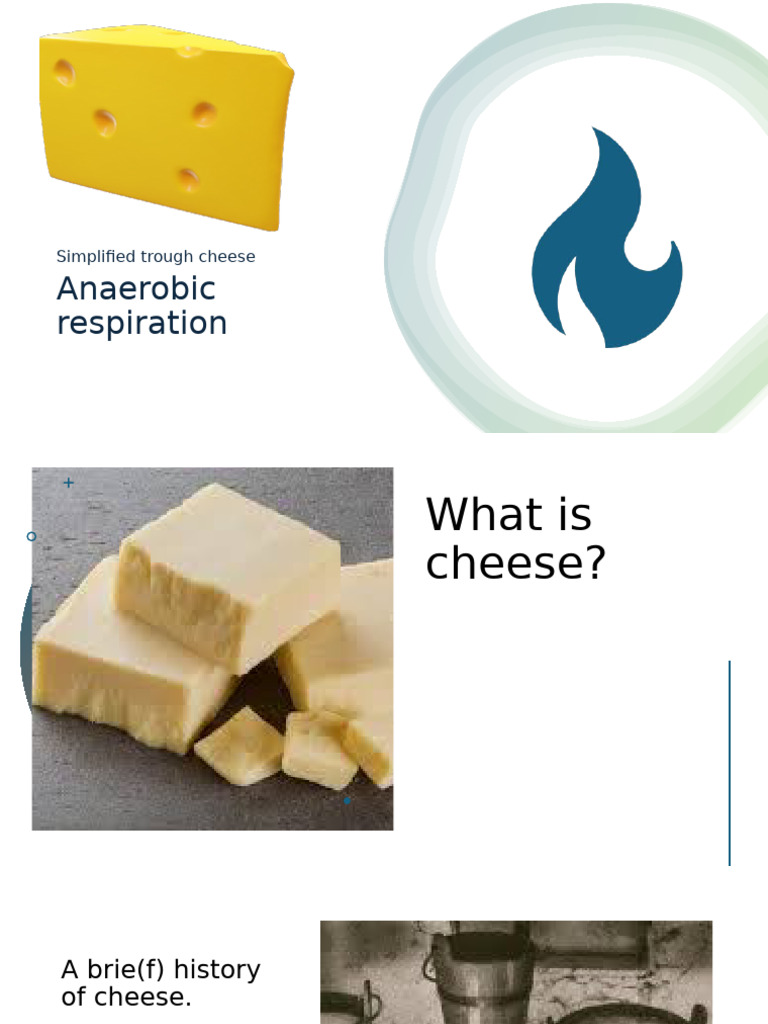 Cheese | PDF