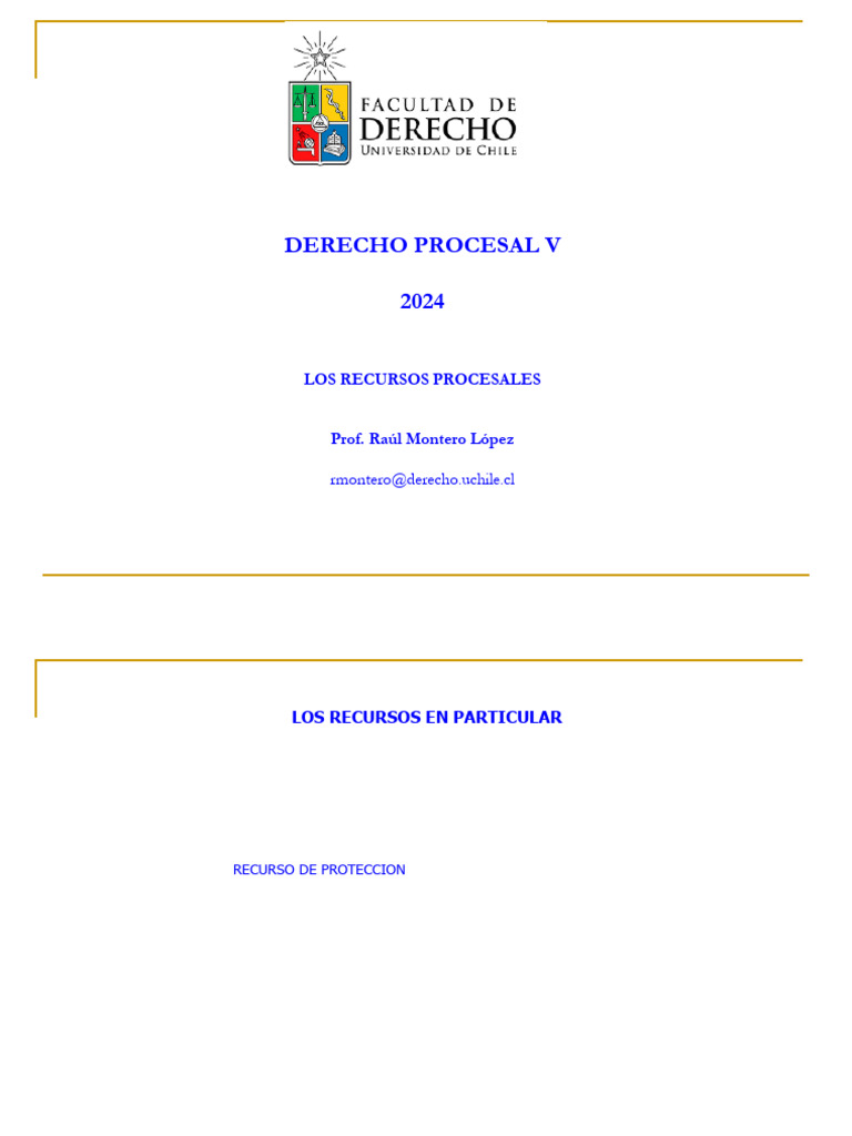 Recurso de Protecci N Derecho Procesal V 2024 UCH | PDF | Sentencia (ley) | Apelación