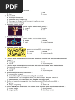 IKATAN DAN SIMPUL (Kelas 5) | PDF