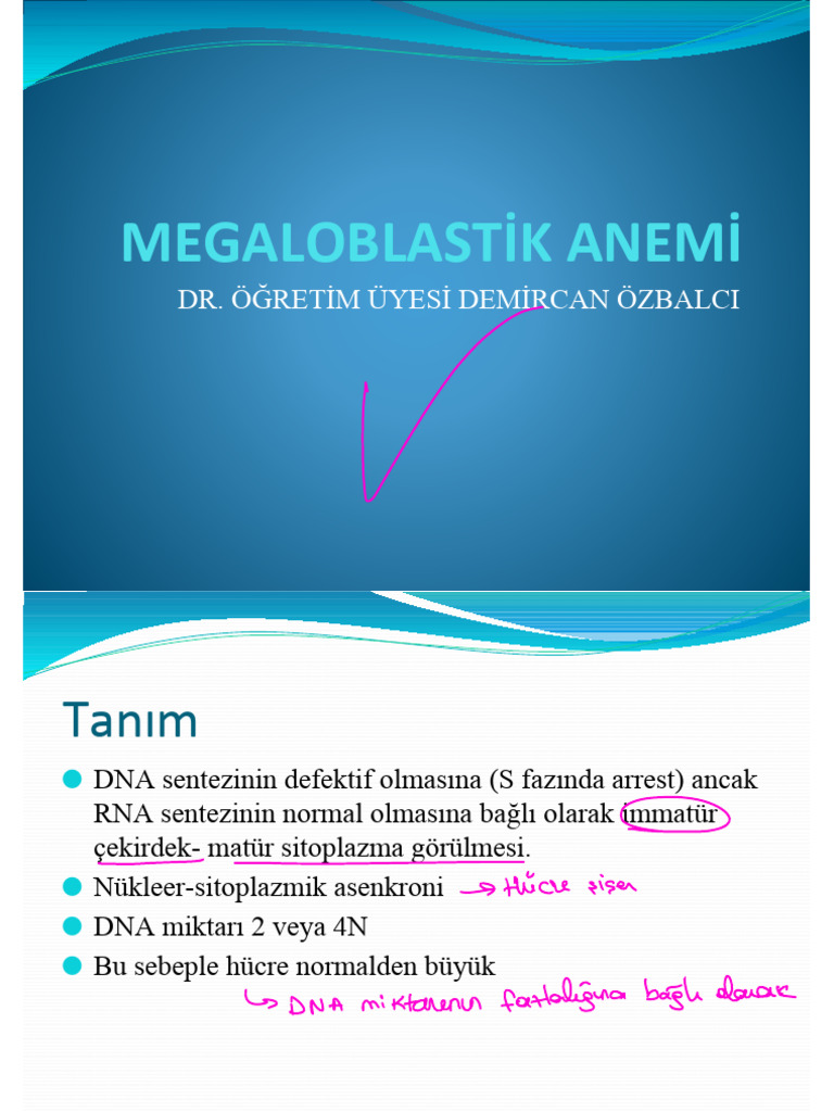 Megaloblastik Anemi | PDF