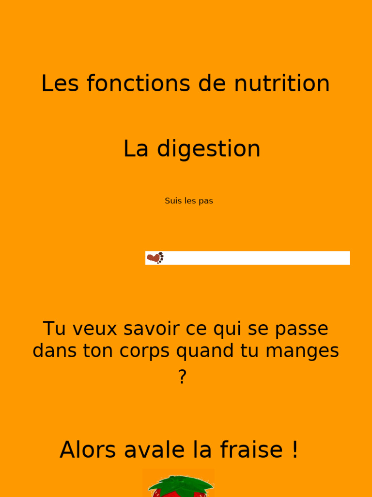 La Digestion Des Aliments Et Labsorption Intestinale Cours PPT 8 | PDF ...