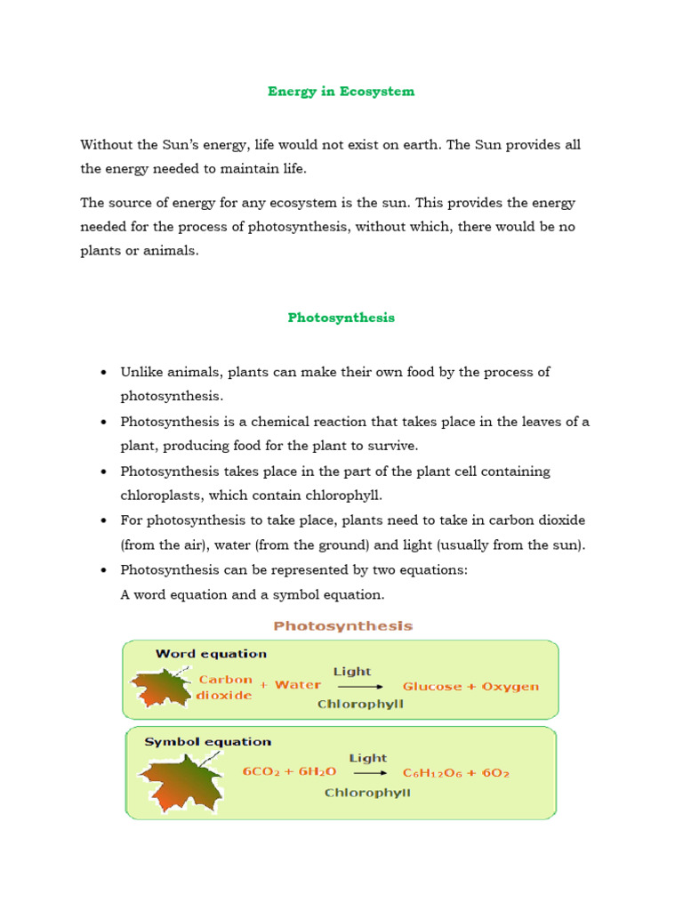 Note 2 - Photosynthesis | PDF