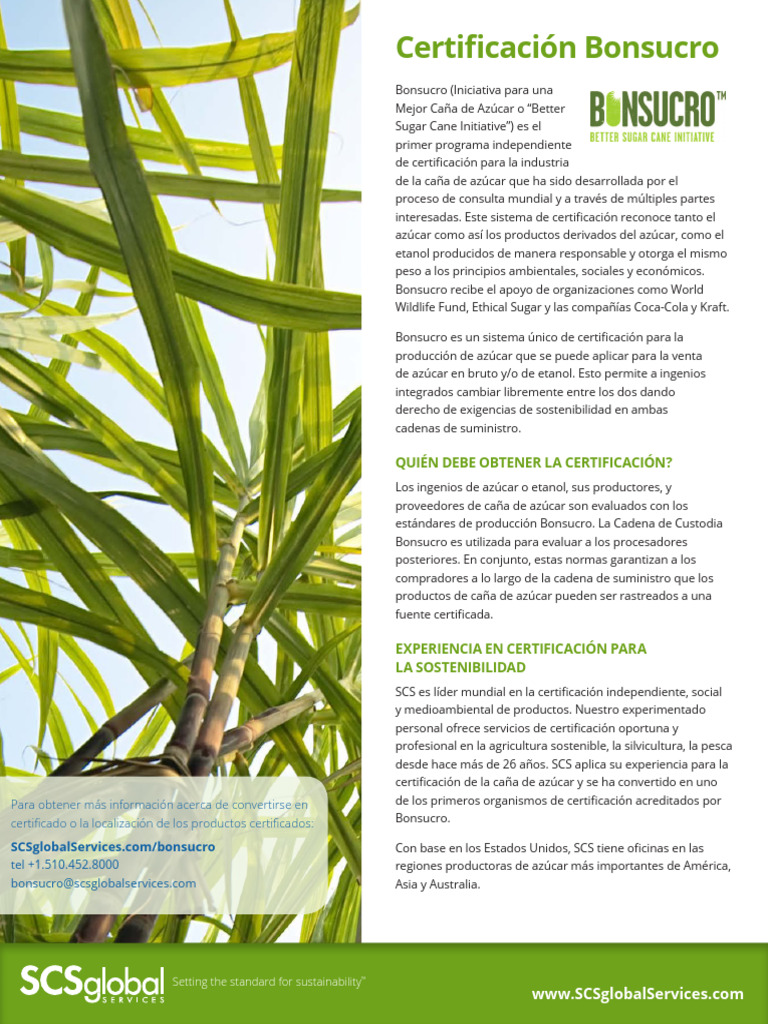 Bonsucro V2-1 053112 ESP | PDF | Biocombustible