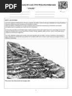 Test Efai 3 y 4 | PDF | Inteligencia