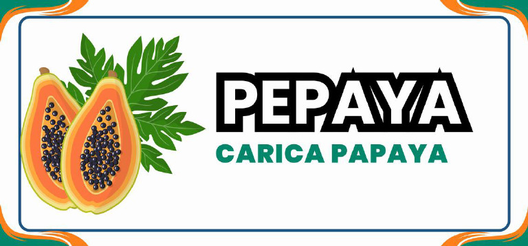 Label Pepaya | PDF