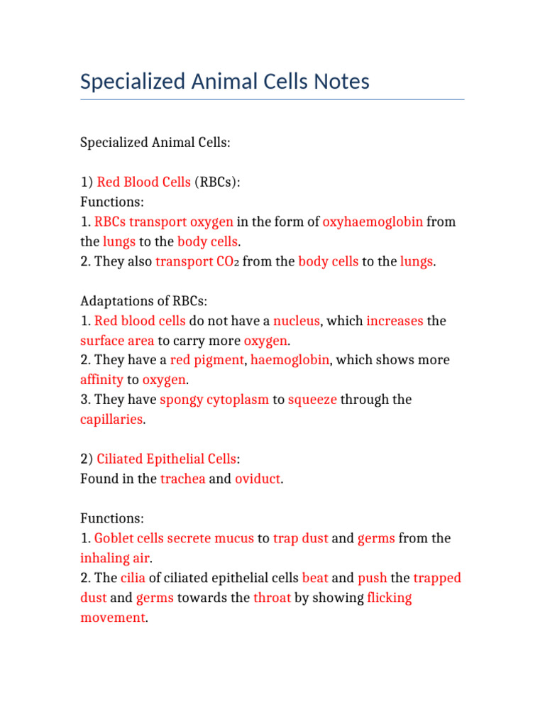 Specialized Animal Cells Manual | PDF