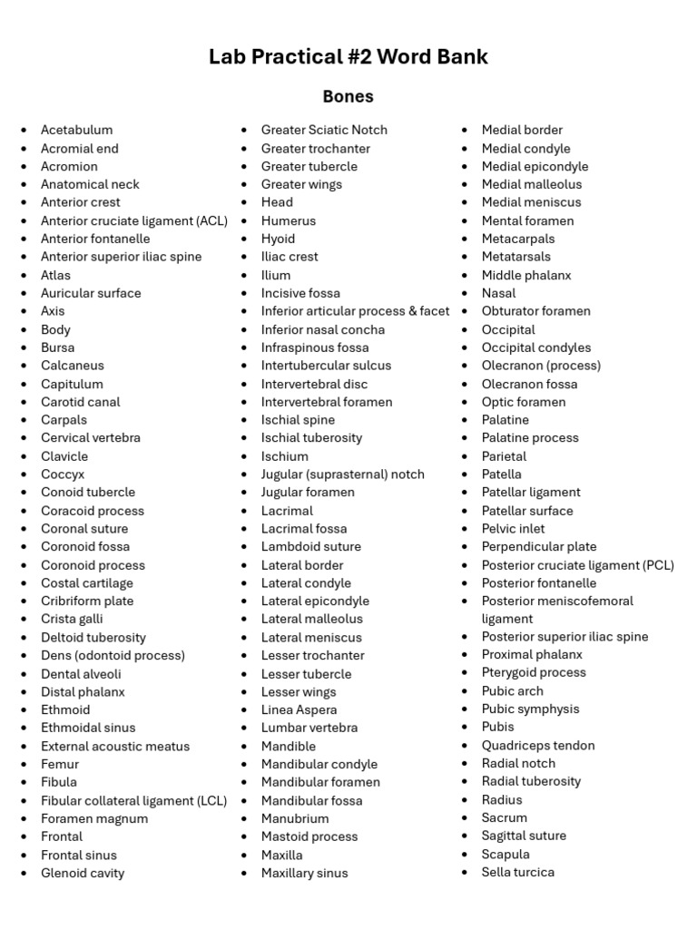 Lap Practical #2 Word Bank | PDF | Vertebra | Pelvis