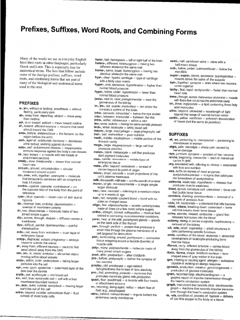 Prefixes Suffixes Roots | PDF