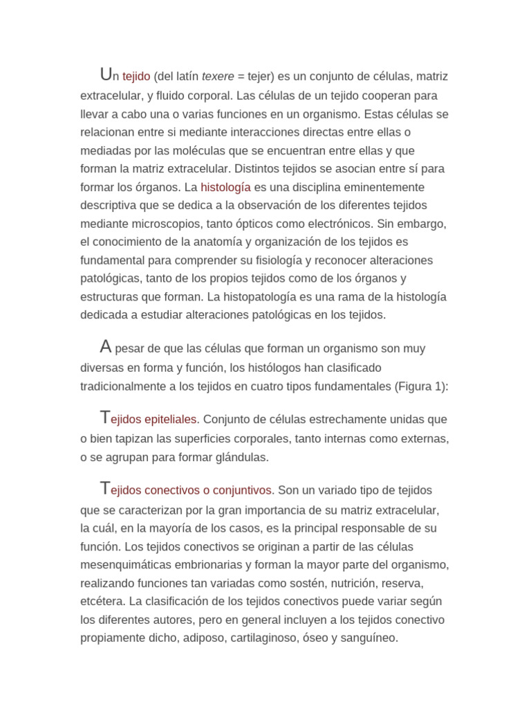 Tejido: Texere | PDF | Ciencia y matemáticas