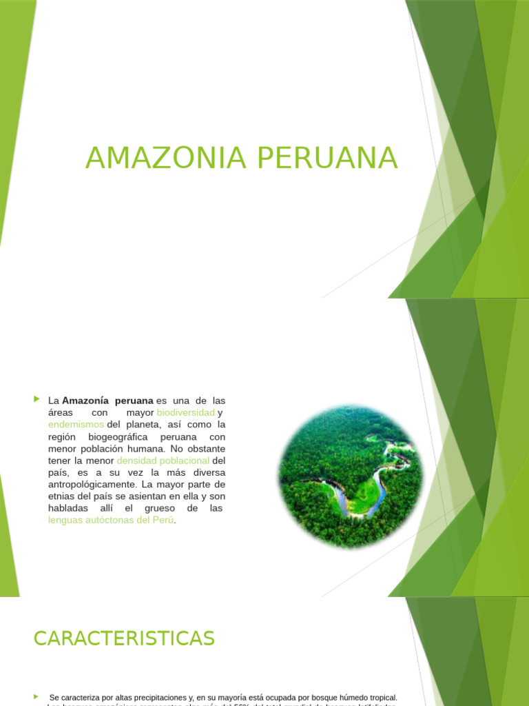 Amazonia Peruana | PDF | Hogar, jardinería y bricolaje | Ciencia y matemáticas