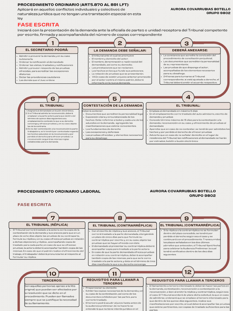 Diagrama de Flujo Procedimiento Ordinario y Procedimiento de Huelga | PDF