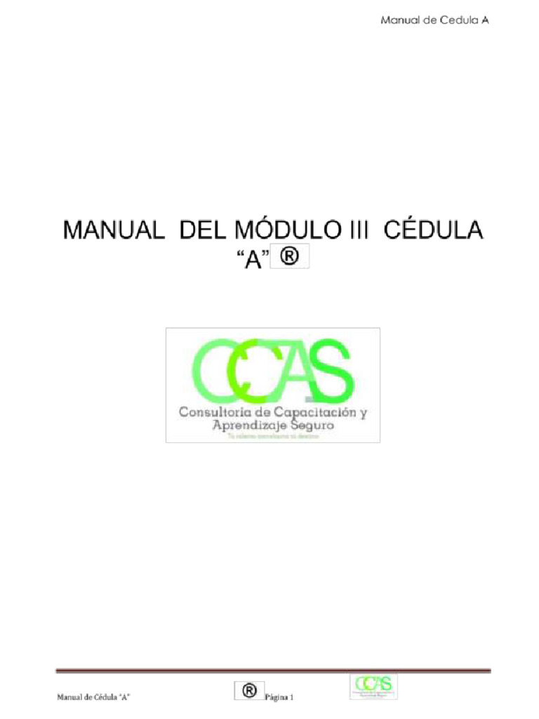 Manual Del Modulo Iii Risd | PDF