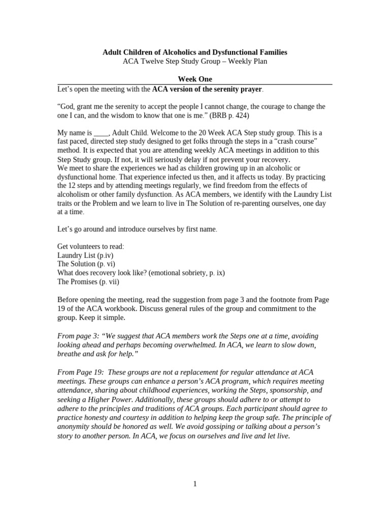 ACA 20-Week Step Study Group Guide | PDF