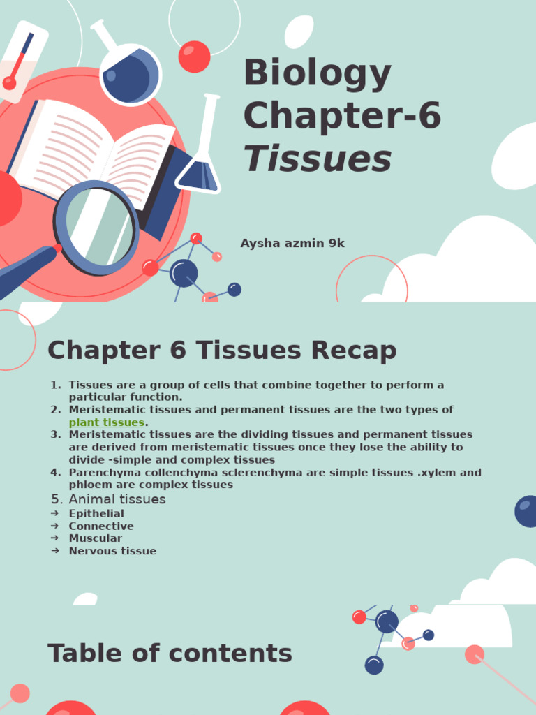 Tissues Biology | PDF | Tissue (Biology) | Connective Tissue