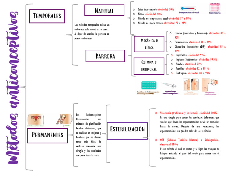 Anatomia 3 | PDF | Control de la natalidad | La sexualidad humana