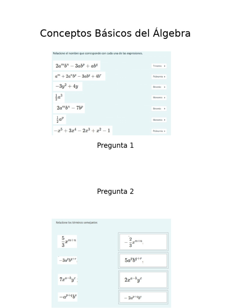 Conceptos Básicos Del Álgebra | PDF