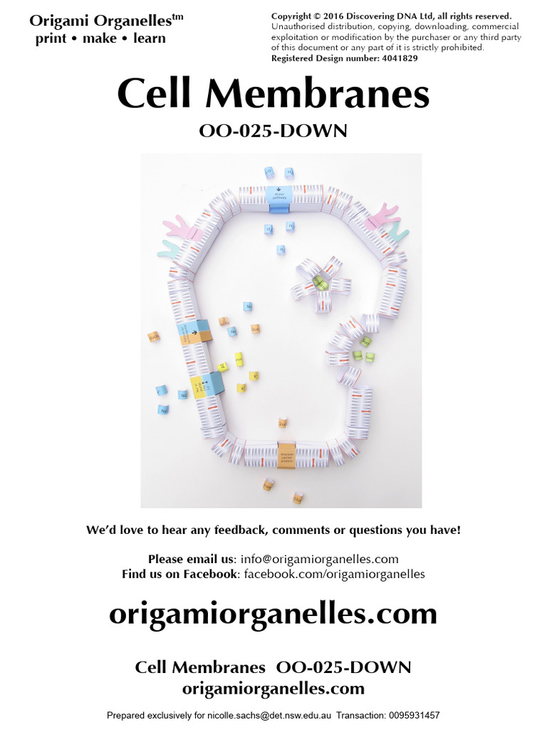 Cell Membrane Model Guide | PDF | Cell Membrane | Cell (Biology)