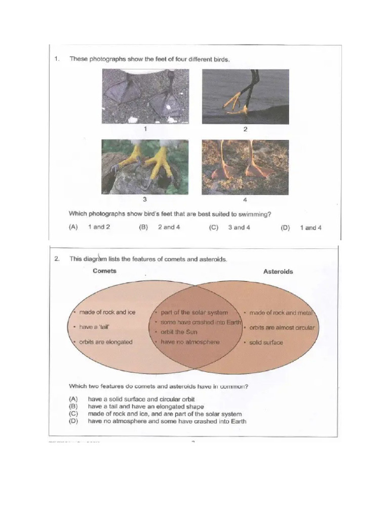 ICAS Science Challenge | PDF