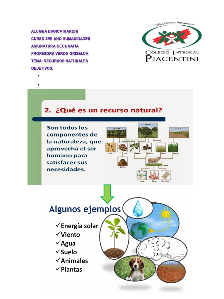 Recursos Naturales y su Importancia | PDF