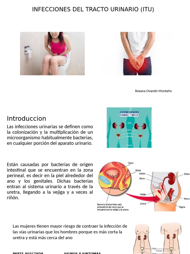 Infecciones Del Tracto Urinario (Itu) | PDF | Infección del tracto ...