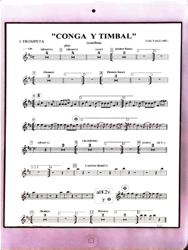 Conga y Timbal | PDF